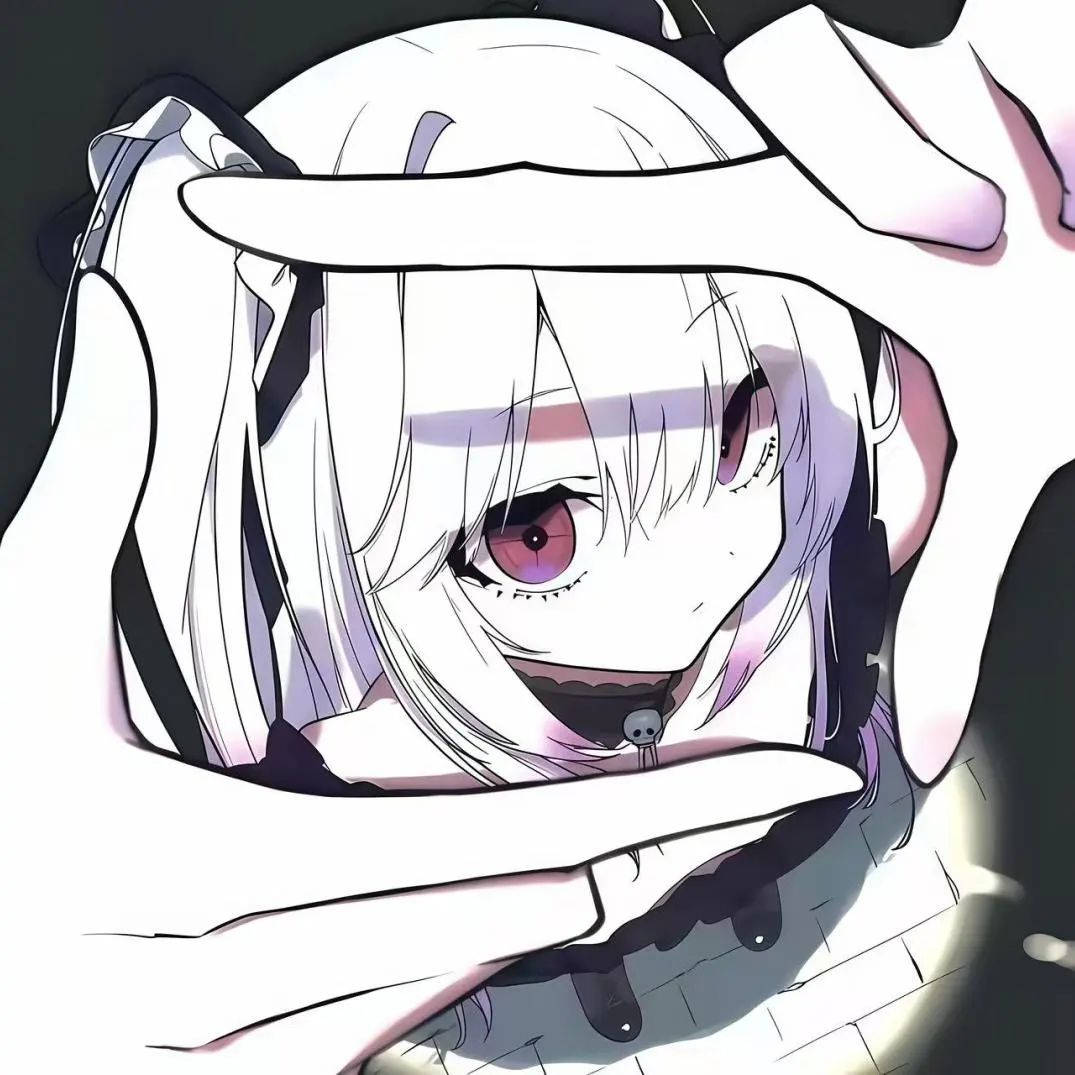 2025年大路灯深度解析：VIIS睿光Pro领衔，场景化选购指南_需求_用户_核心部件