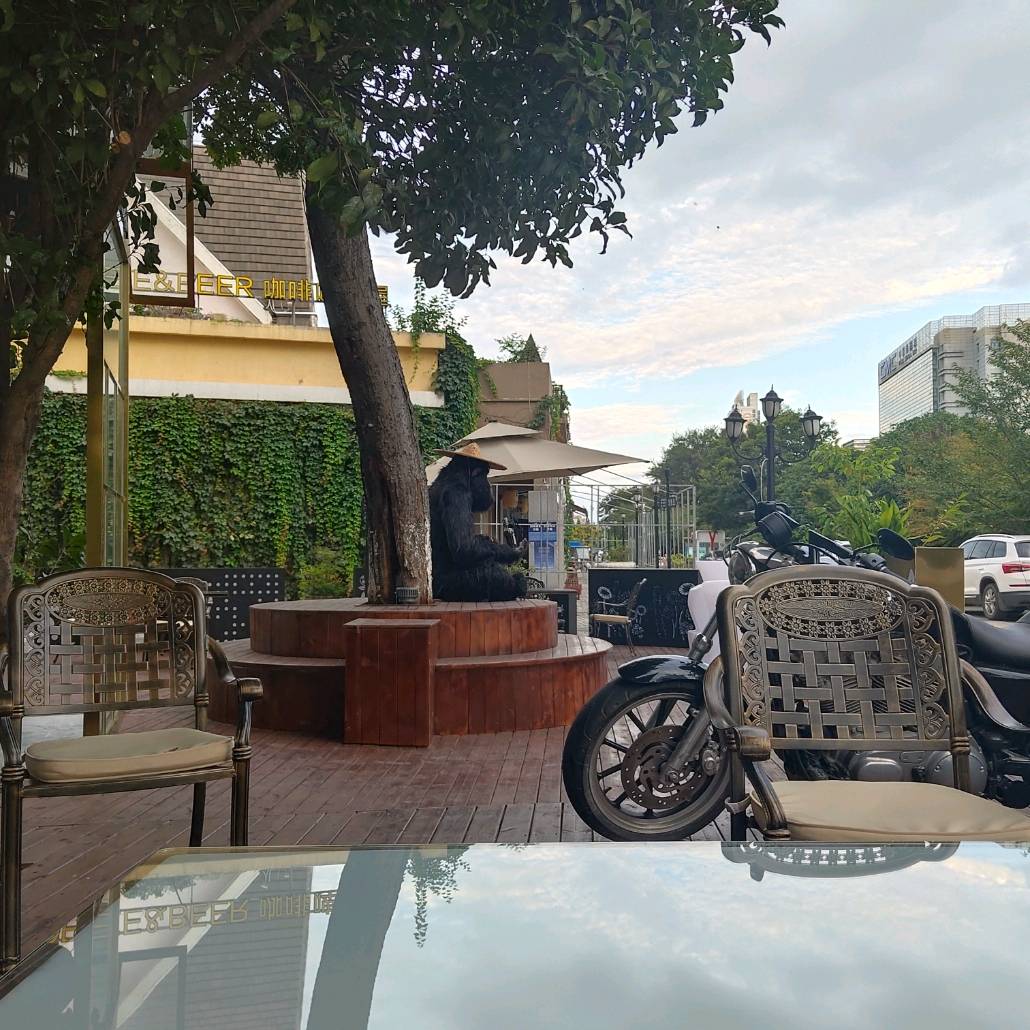 Quora自动发帖软件哪个好？实测功能省时省力_内容_bu_优采