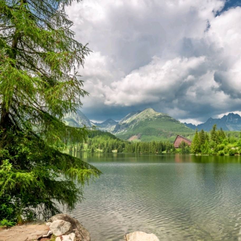 实测国外Quora发文软件，这几款一键发bu功能真高效_内容_自动_平台