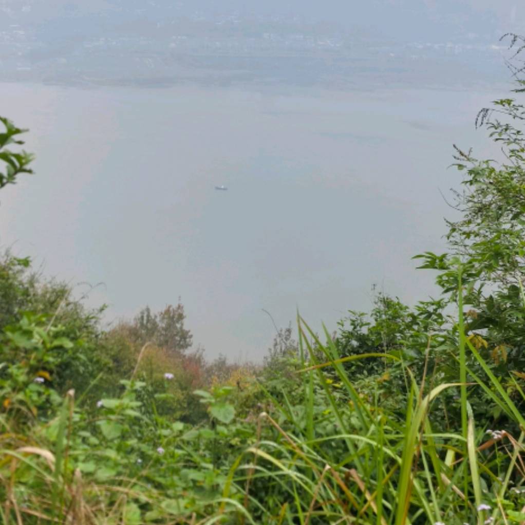 2026年春Top10眉毛增长液有效产品榜，孕期、哺乳期也能用_成分_毛囊_用户