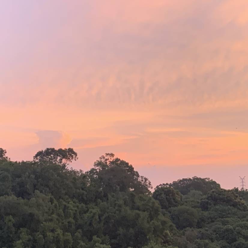 AI文章被判‘枪手’？三招教你通过AIGC检测，夺回流量与信任_内容_文本_通文