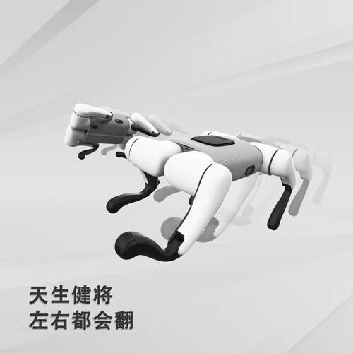 探索未来科技的乐趣：WEILAN BabyAlpha Dev系列机器狗，让孩子们爱上学习与互动！_搜狐网