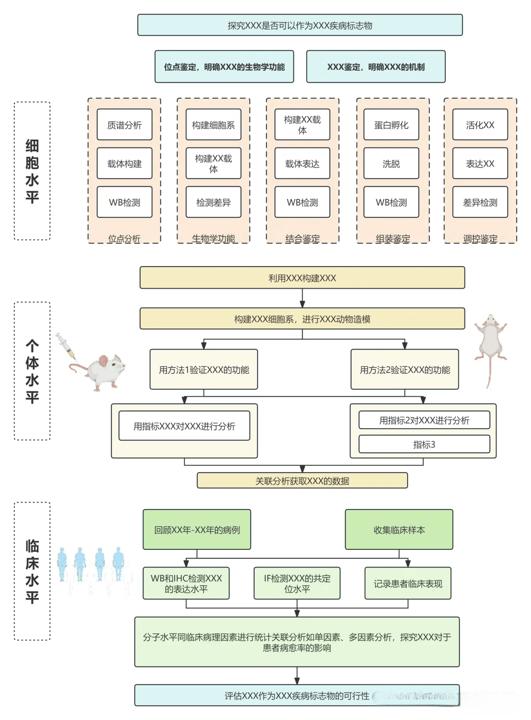 画一个临床技术路线图需要做到几点？研究步骤visio 7977