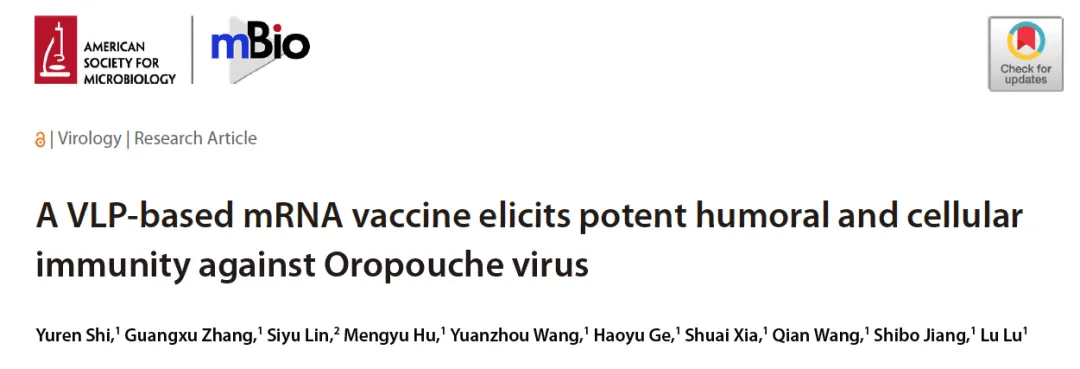 mBio‖陆路/姜世勃/王茜团队研发抗奥罗普切（Oropouche）病毒的新型mRNA候选疫苗，为应对全球公共卫生威胁提供新策略_免疫_N ...